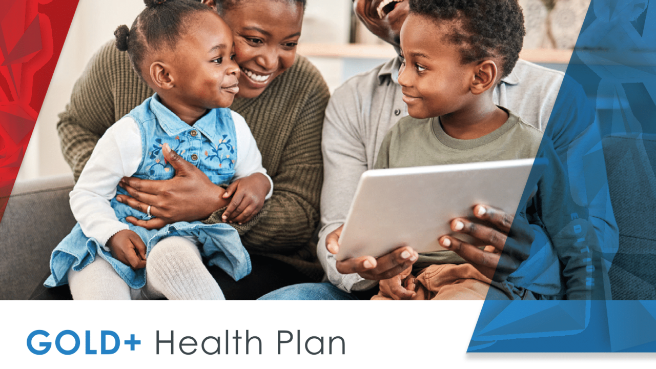 Health Plan Key Fact Sheet - SES