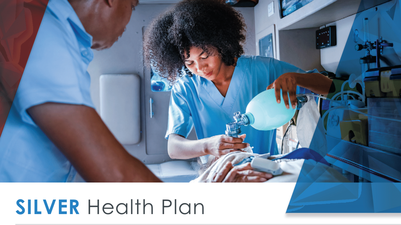 Health Plan Key Fact Sheet - SES