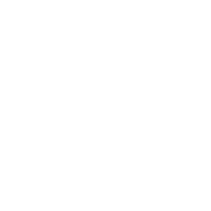SES - Global Health Insurance for Organisations, Individuals and Families