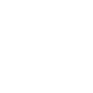 SES - Medical, Paramedic, Emergency and Evacuation Services