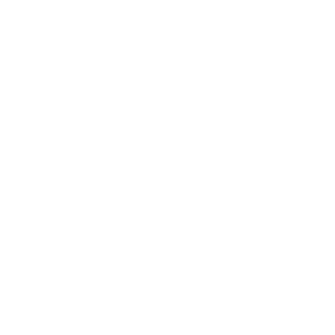 SES - Medical, Paramedic, Emergency and Evacuation Services