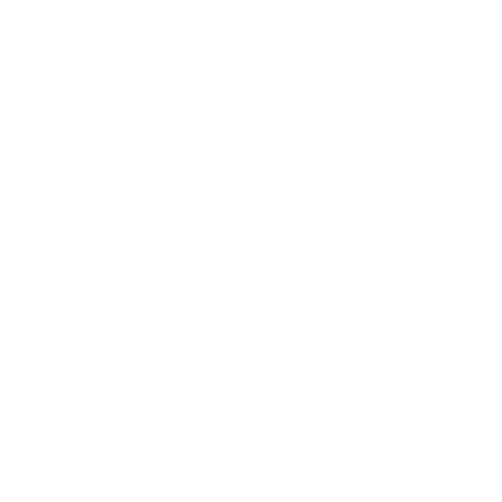 SES - Medical, Paramedic, Emergency and Evacuation Services