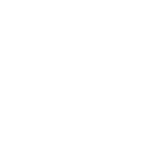 SES - Medical, Paramedic, Emergency and Evacuation Services